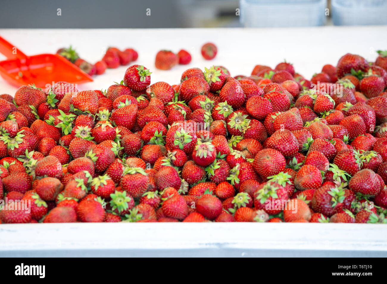 Loads of food hi-res stock photography and images - Alamy
