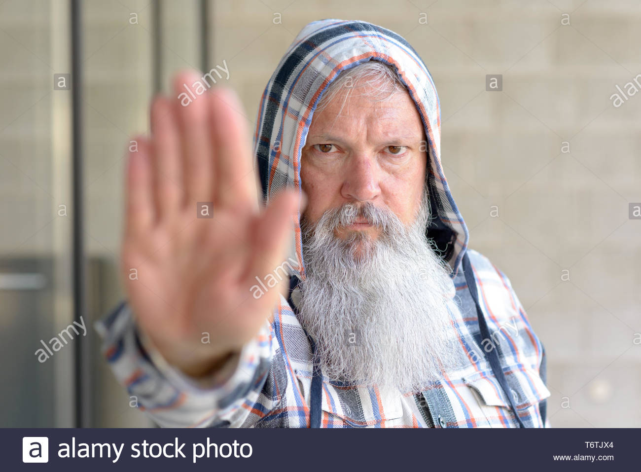 Halt Sign Stock Photos & Halt Sign Stock Images - Alamy
