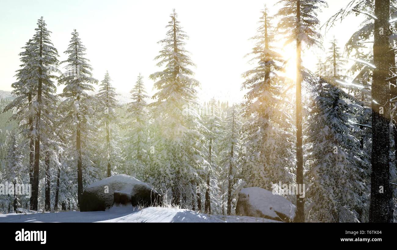 4k snow hi-res stock photography and images - Alamy