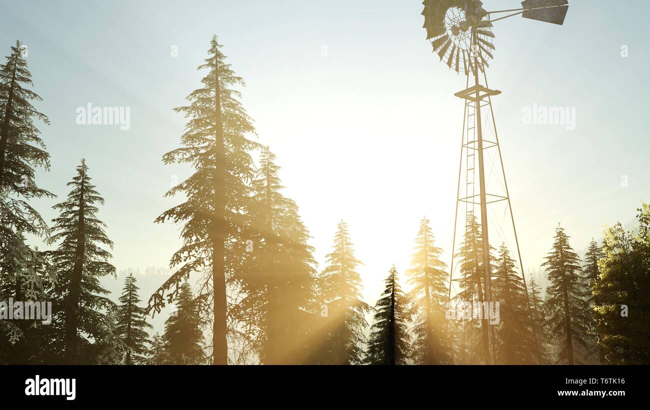 Typical Old Windmill turbine in forest at sunset Stock Photo - Alamy