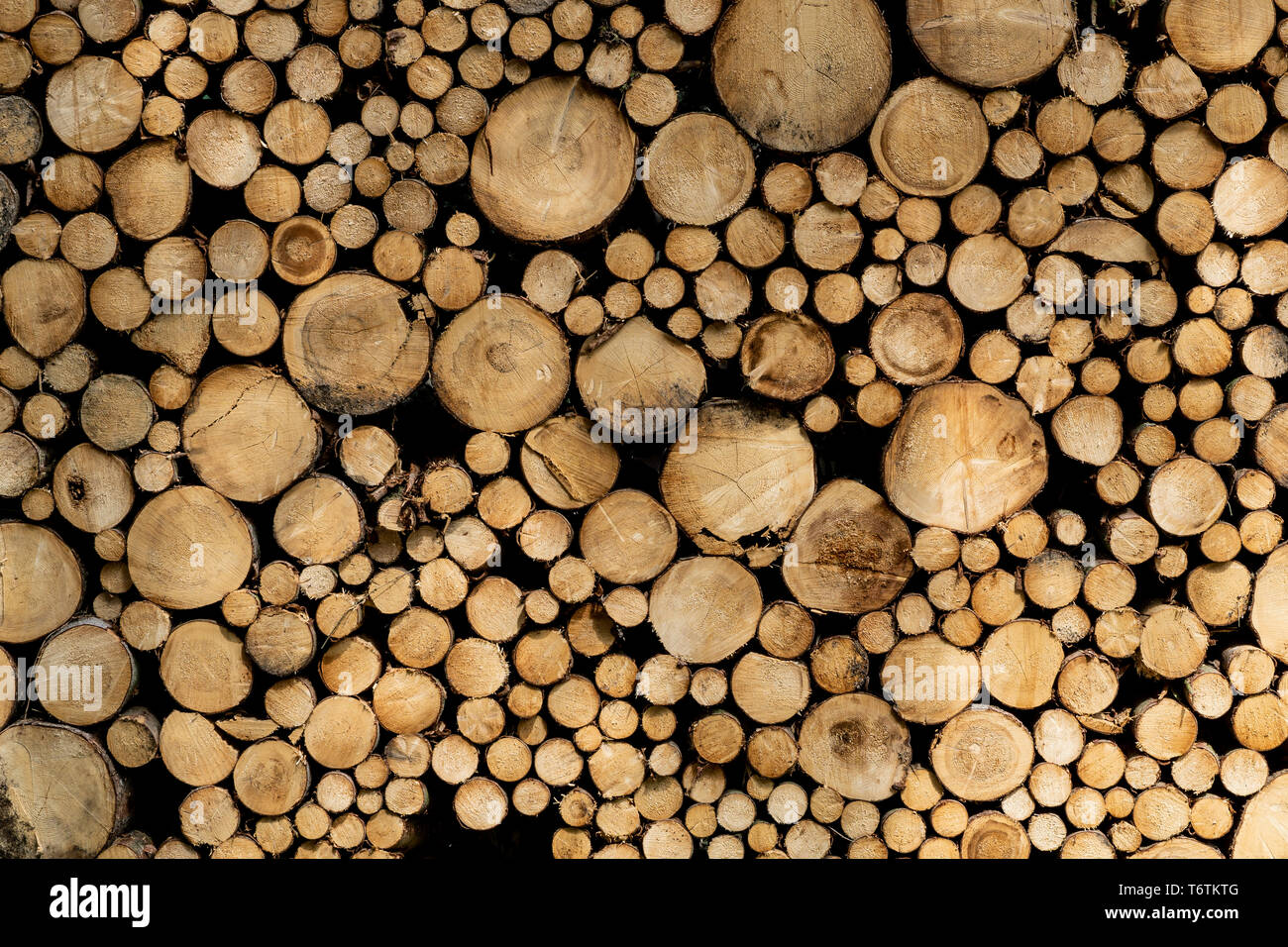 Stack of sawn logs. Natural wooden decor background Stock Photo - Alamy