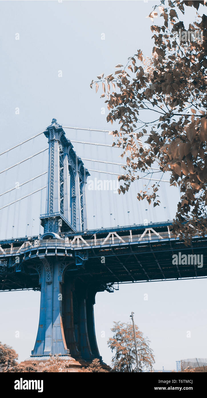 Frog bridge hi-res stock photography and images - Alamy