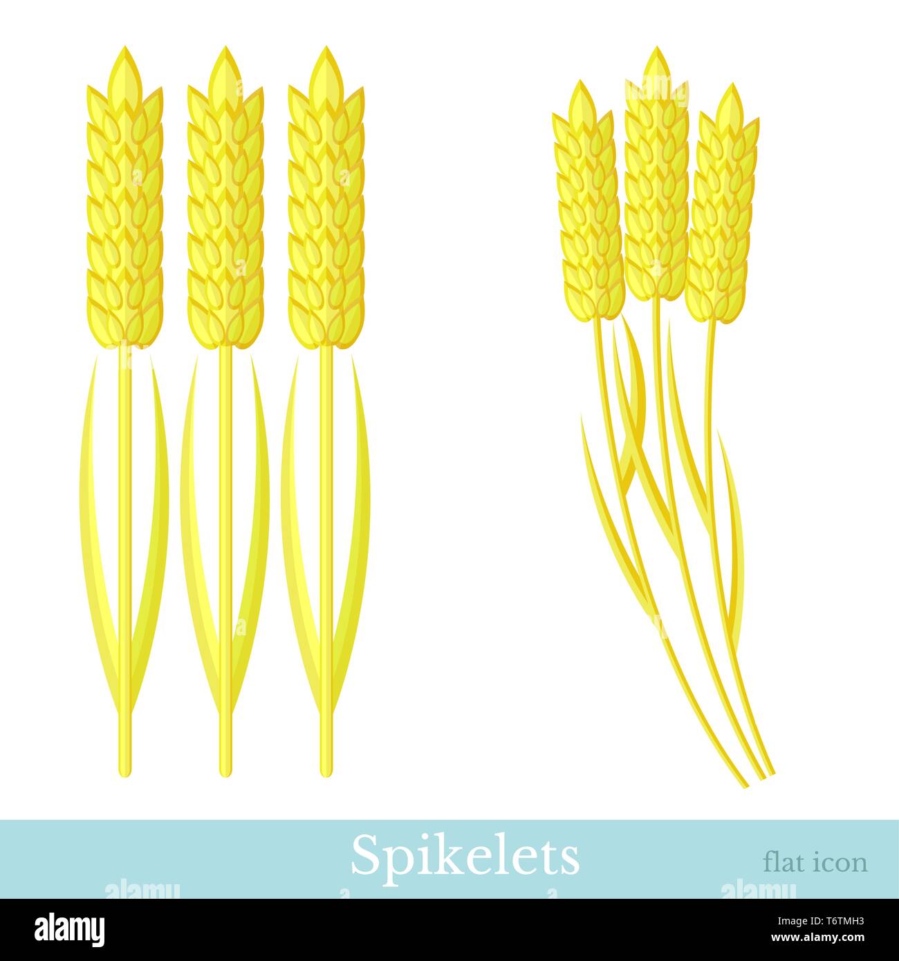 Wheat spica on white Stock Vector Images - Alamy