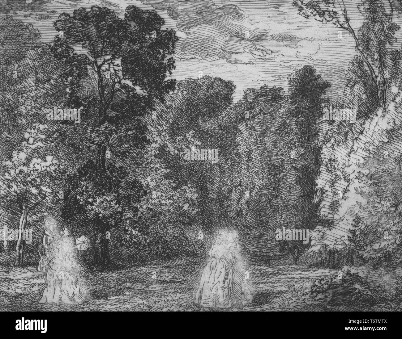 Etching tree hi-res stock photography and images - Alamy