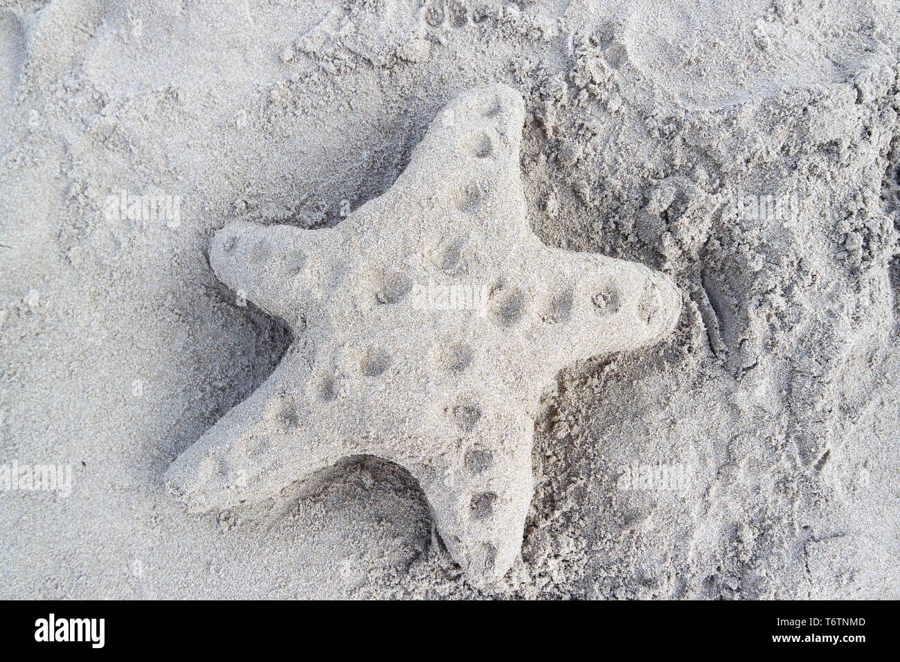 Starfish figure hi-res stock photography and images - Alamy