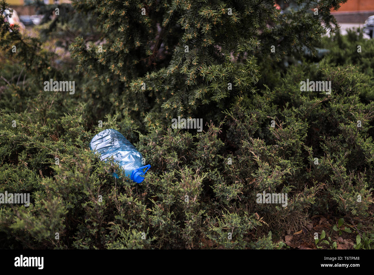 Blue big plastic bottle lying on the ground in tree in a park forest ...