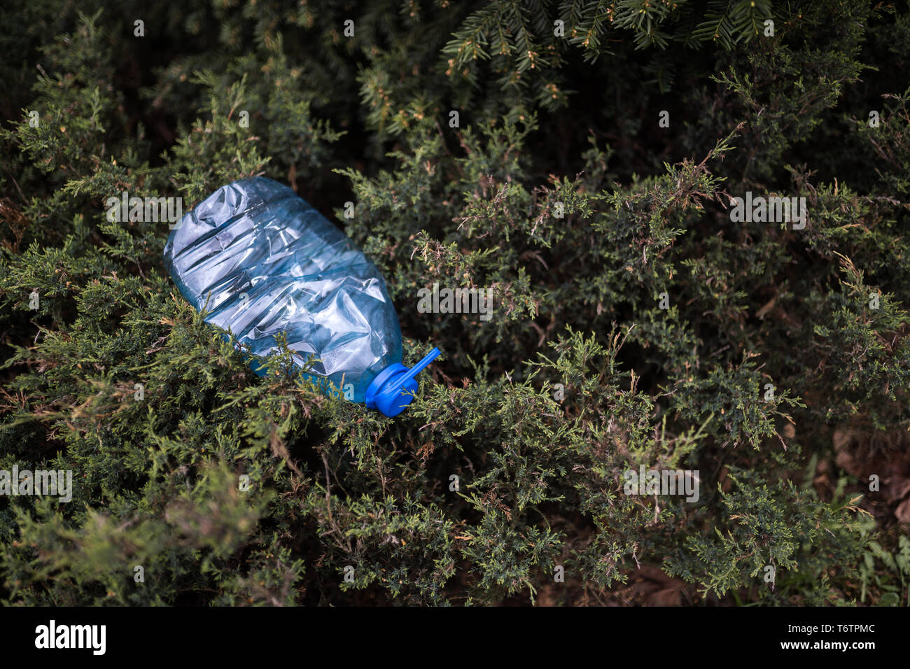 Blue big plastic bottle lying on the ground in tree in a park forest ...