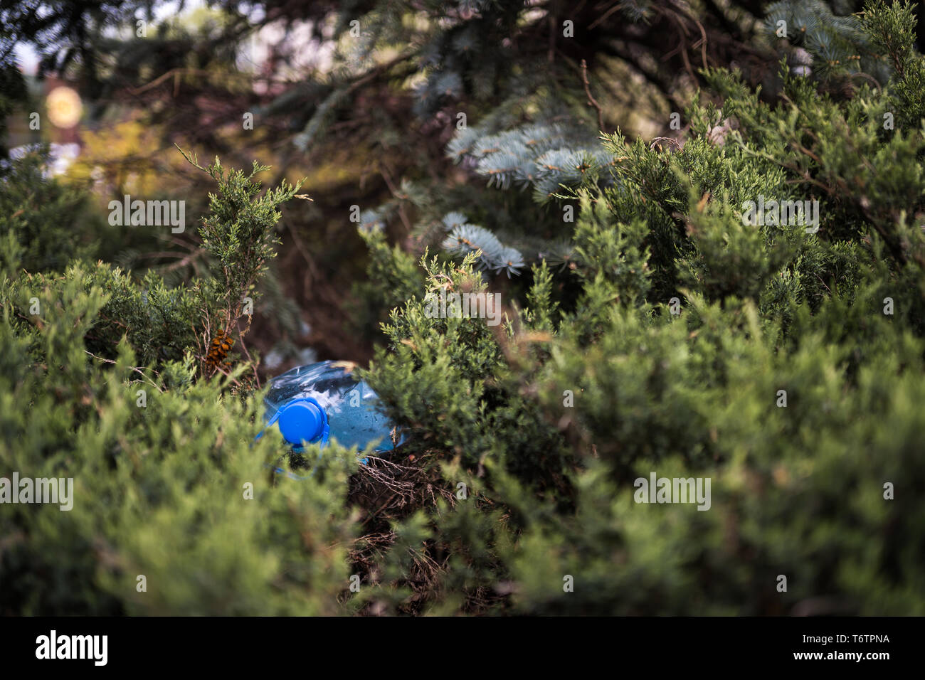 Blue big plastic bottle lying on the ground in tree in a park forest ...