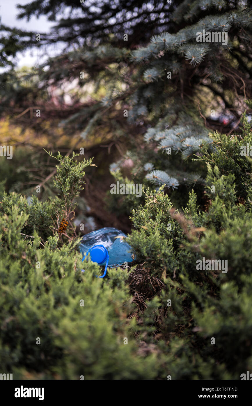 Blue big plastic bottle lying on the ground in tree in a park forest ...