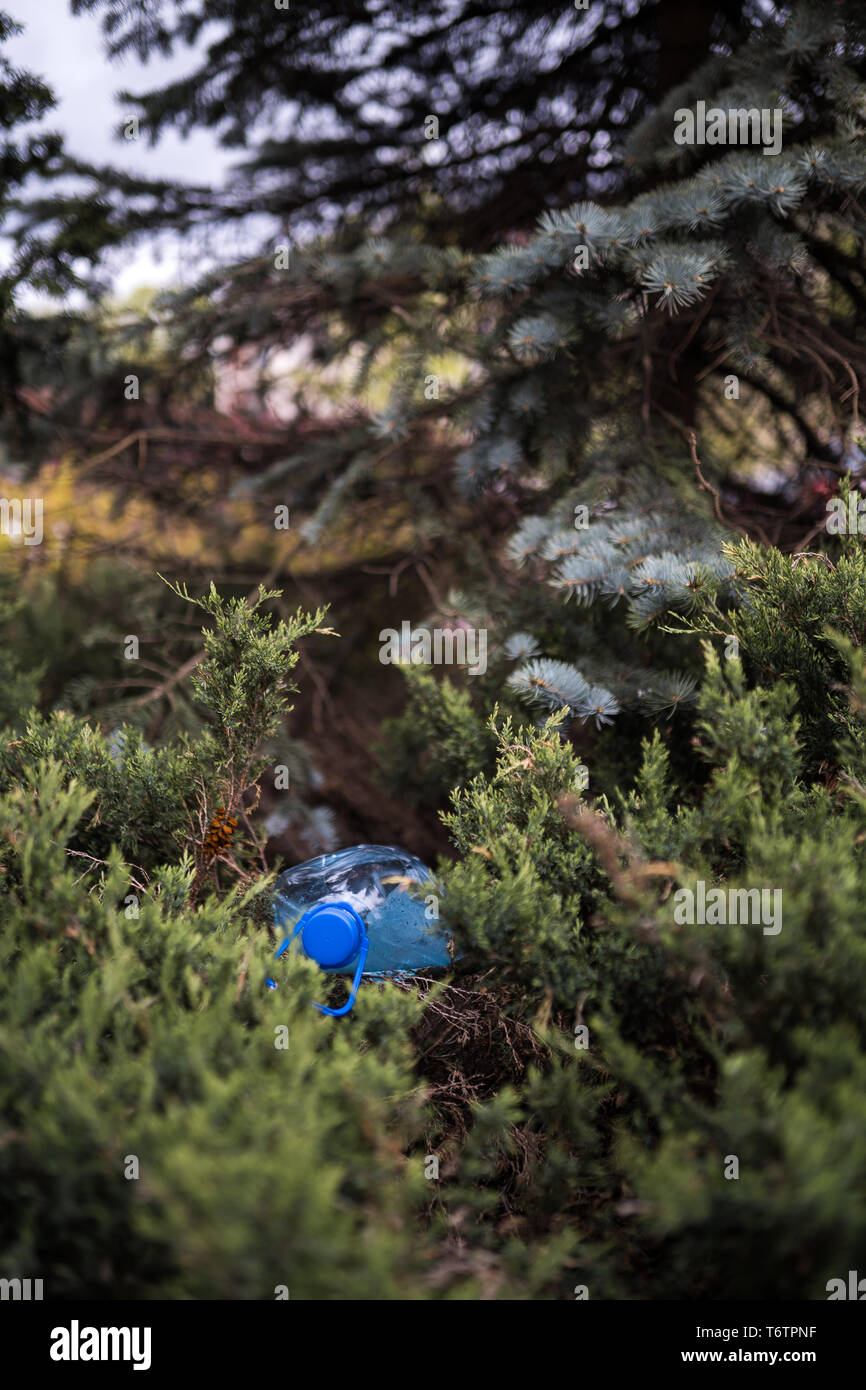 Blue big plastic bottle lying on the ground in tree in a park forest ...