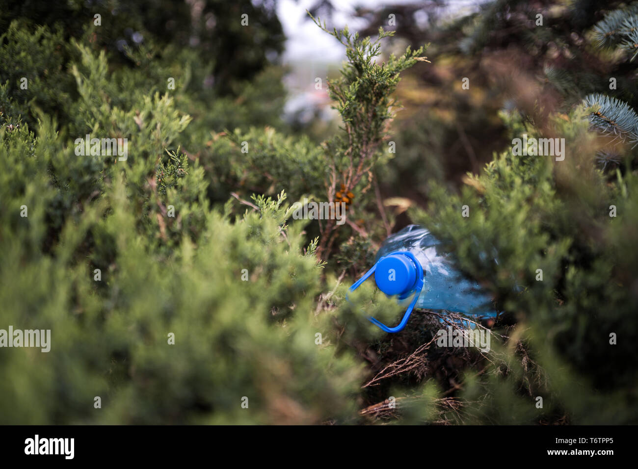 Blue big plastic bottle lying on the ground in tree in a park forest ...