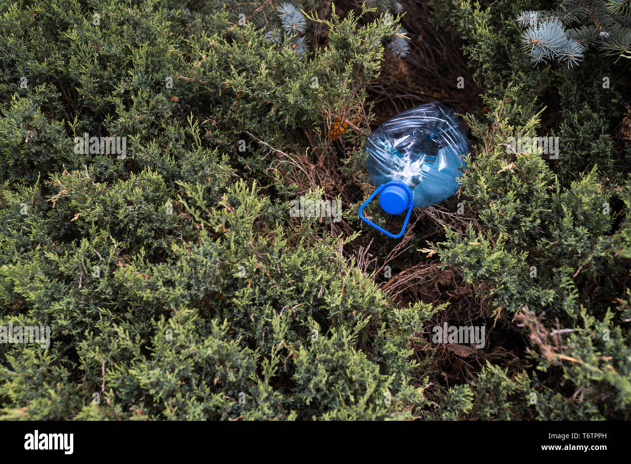 Blue big plastic bottle lying on the ground in tree in a park forest ...