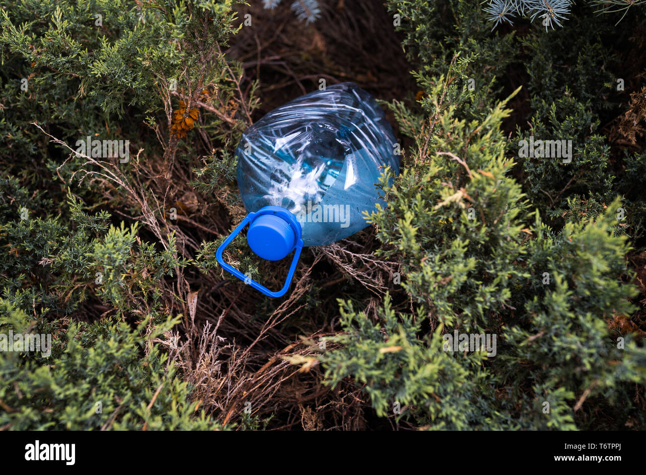Blue big plastic bottle lying on the ground in tree in a park forest ...
