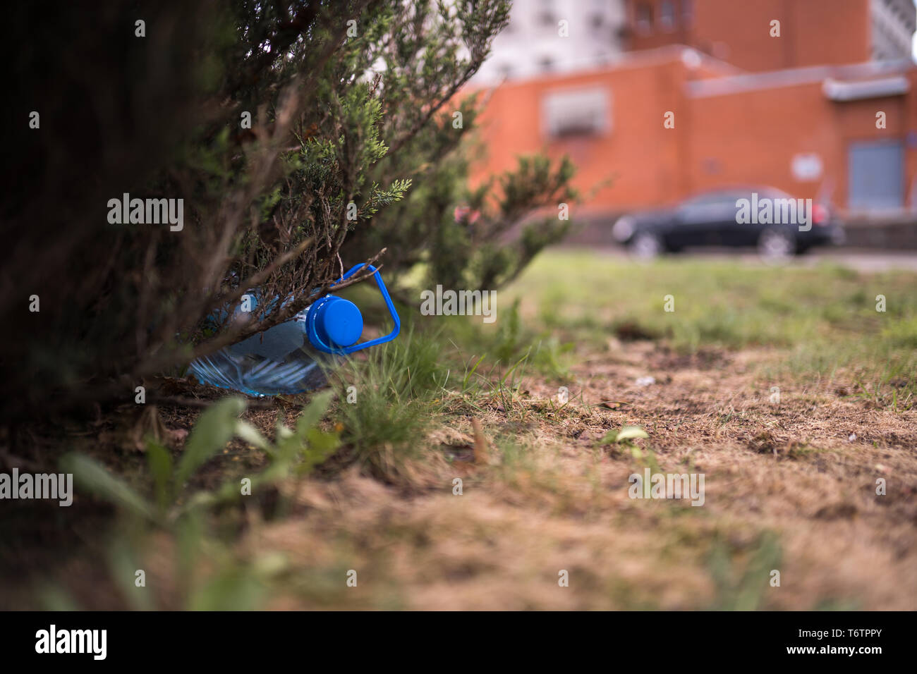 Blue big plastic bottle lying on the ground in tree in a park forest ...