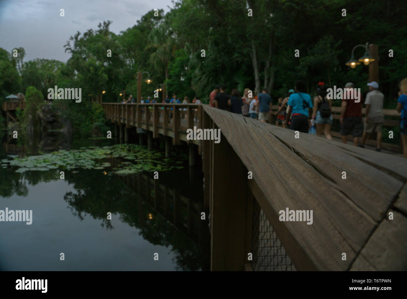Disney world bridge hi-res stock photography and images - Alamy