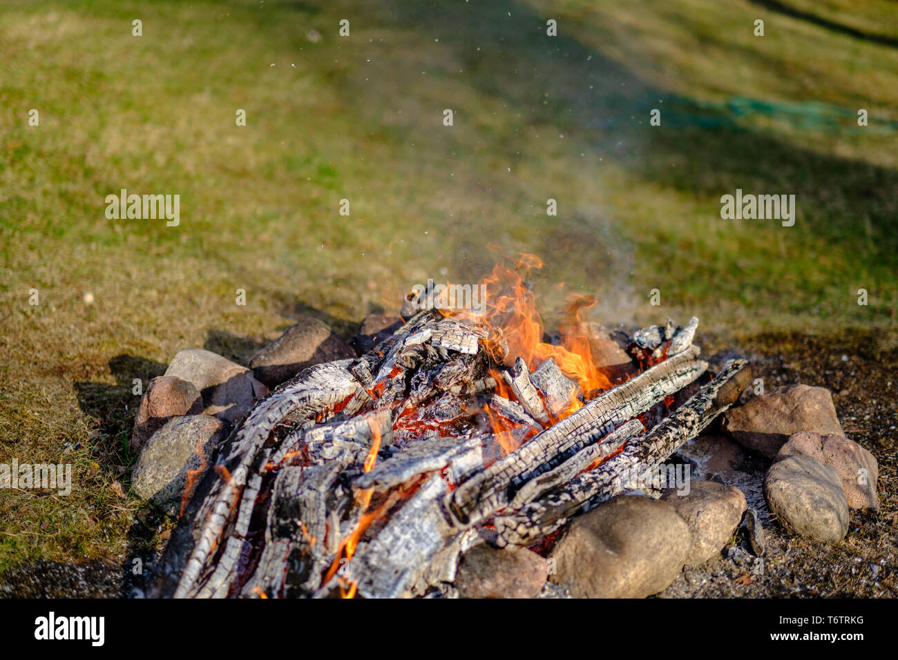 open fire burning logs in field with green grass with blur background ...