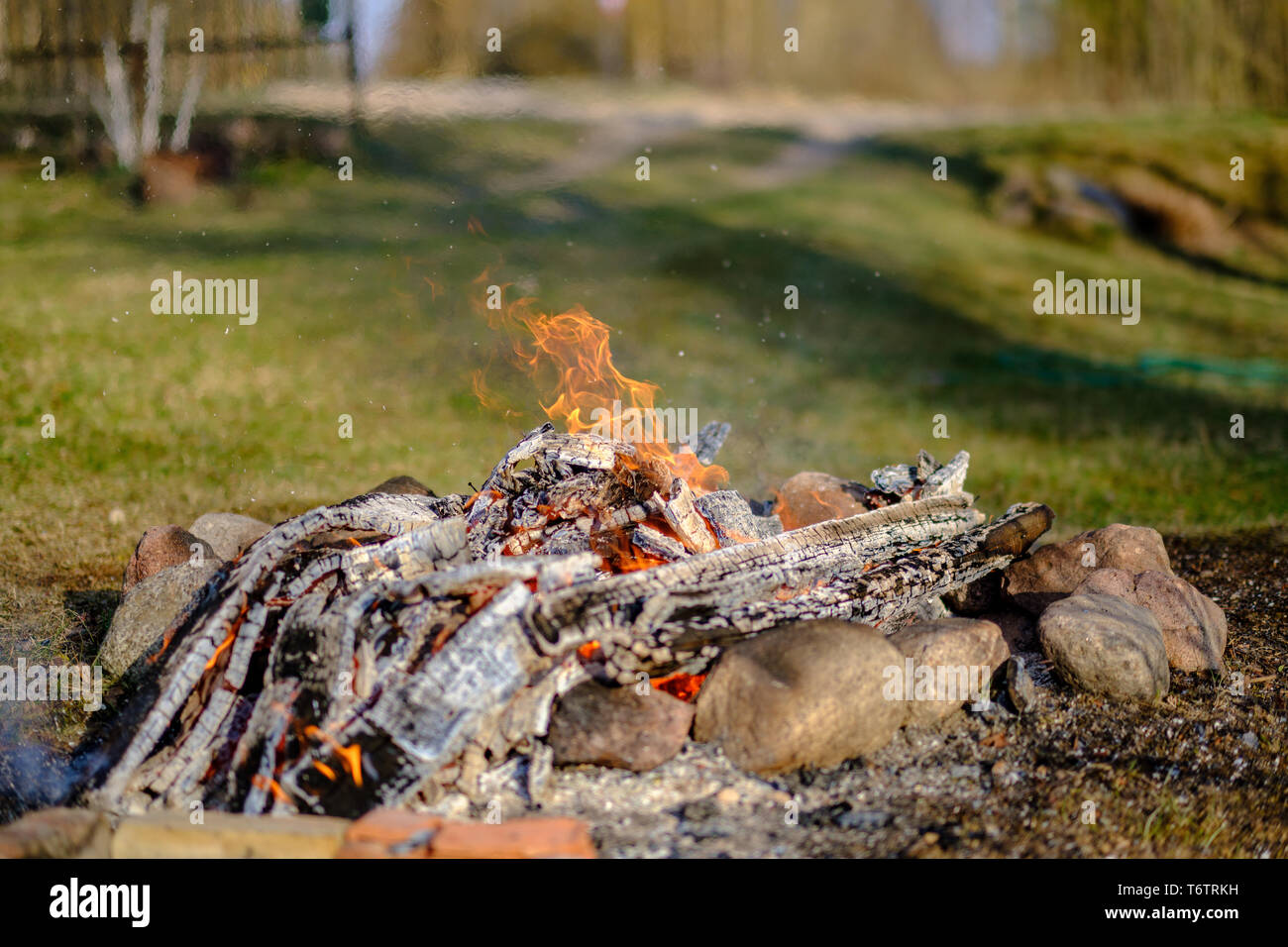 open fire burning logs in field with green grass with blur background ...