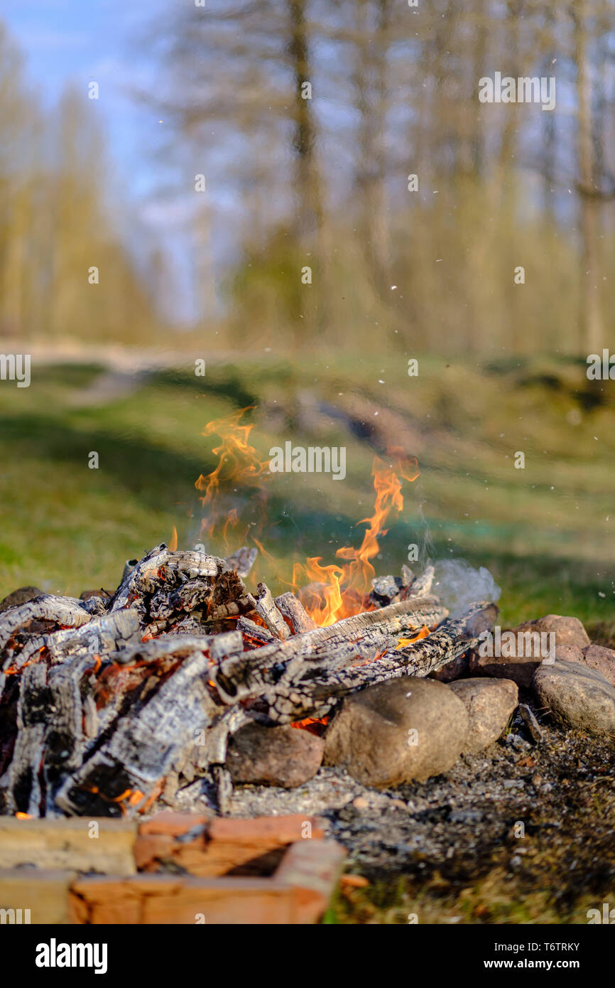 open fire burning logs in field with green grass with blur background ...
