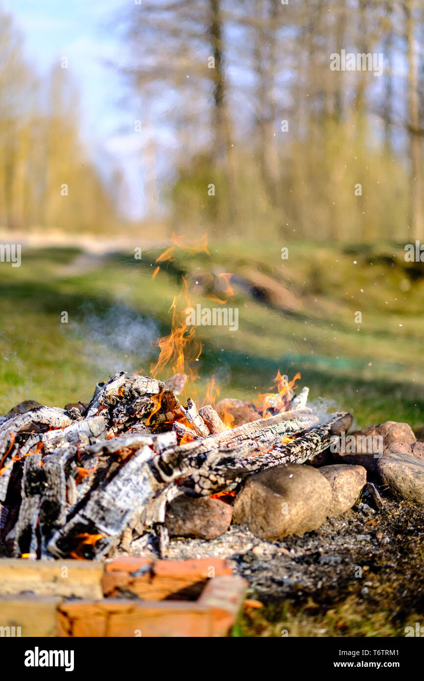 open fire burning logs in field with green grass with blur background ...