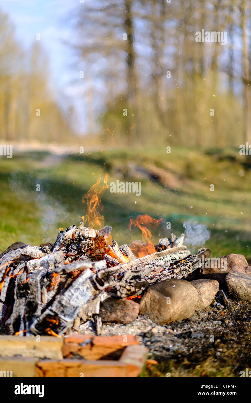 open fire burning logs in field with green grass with blur background ...