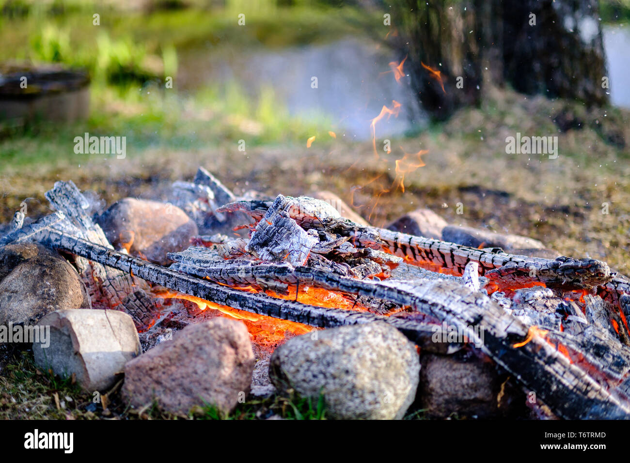 open fire burning logs in field with green grass with blur background ...