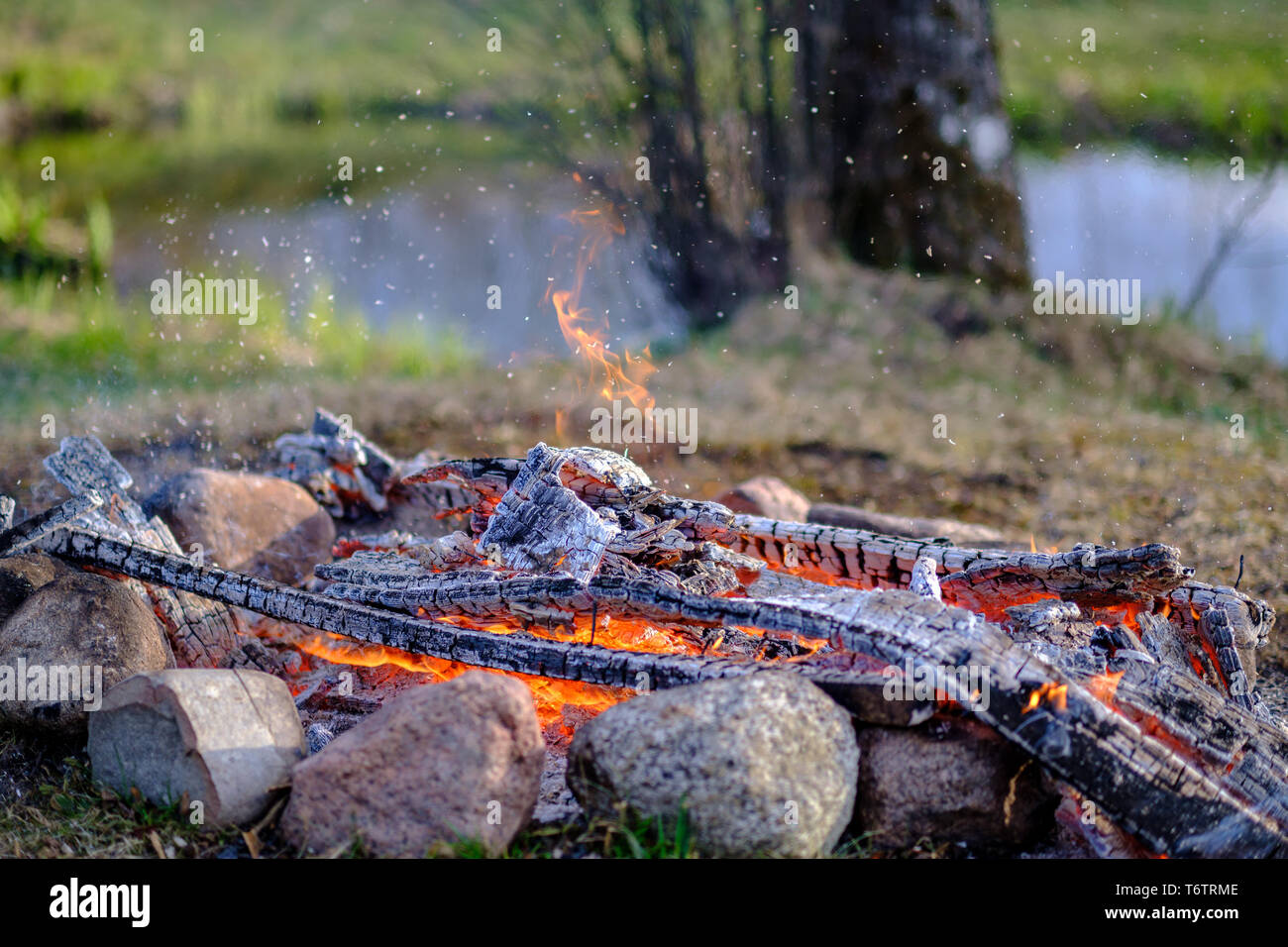 open fire burning logs in field with green grass with blur background ...