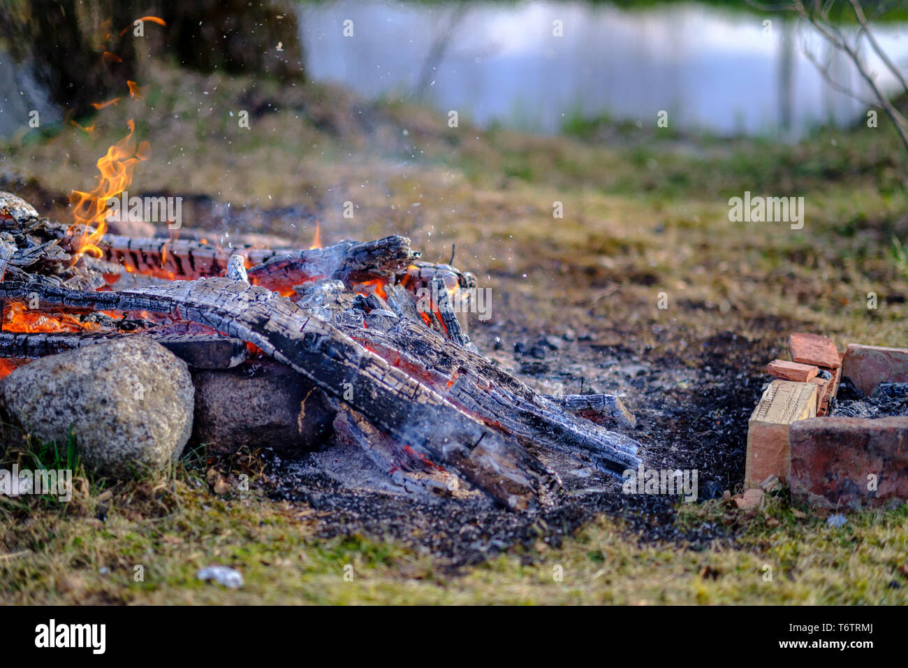 open fire burning logs in field with green grass with blur background ...