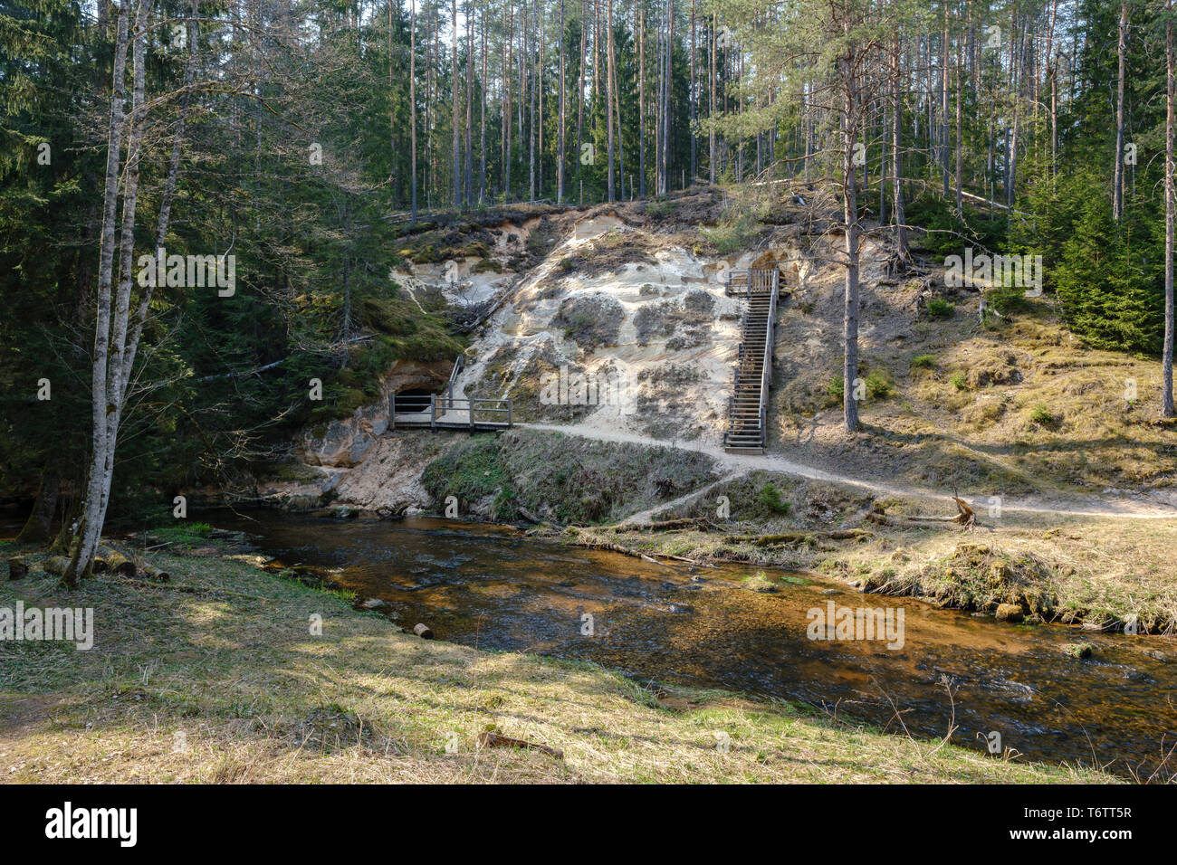 rock covered river bed in forest with low water level and tree roots on ...