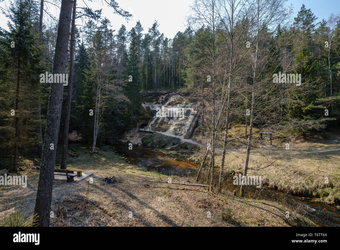 rock covered river bed in forest with low water level and tree roots on ...