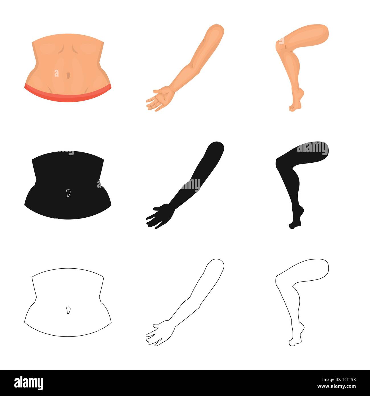 Vector illustration of body and part symbol. Set of body and anatomy ...