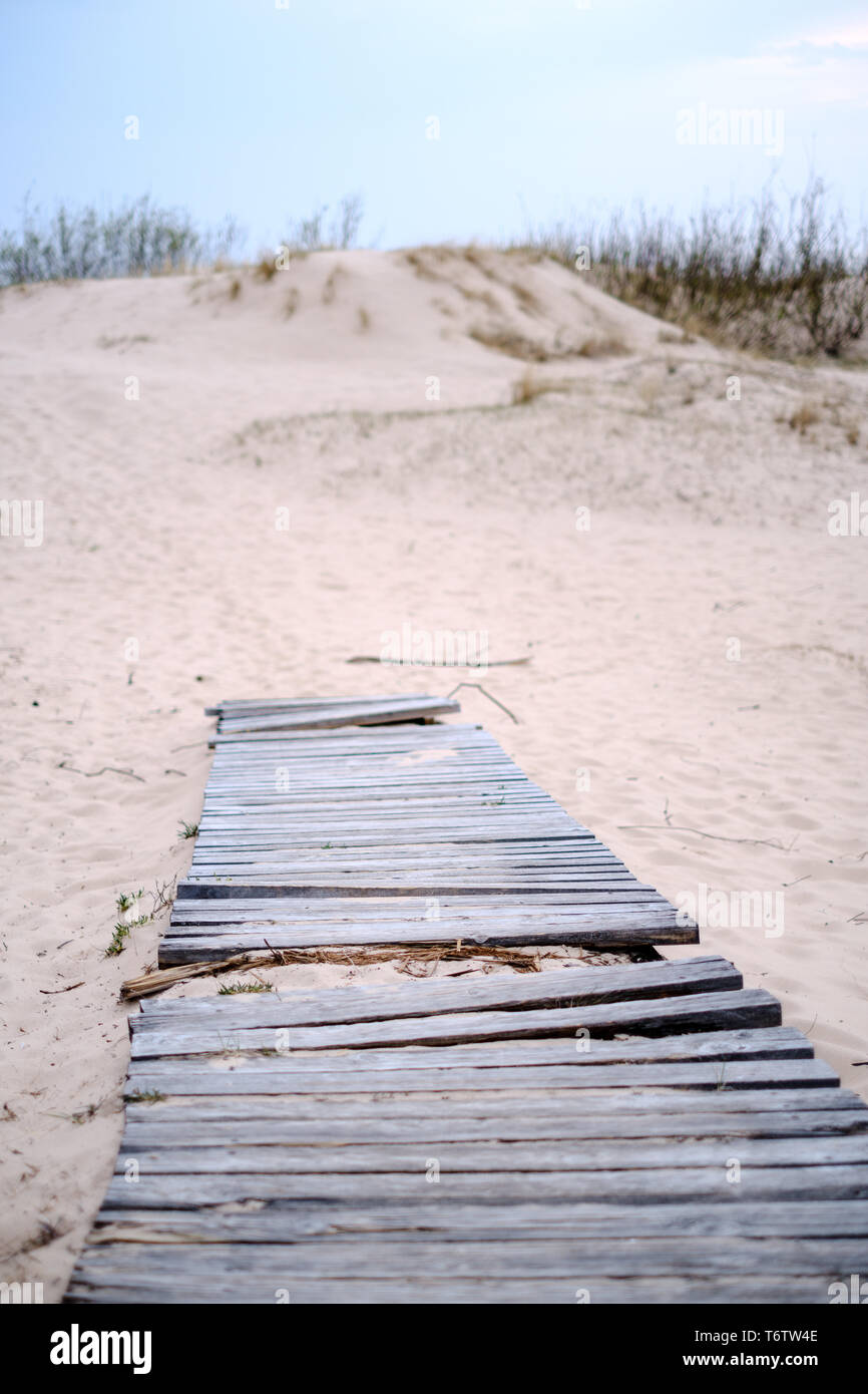 wooden plank boardwalk near sea in the dunes over the sand Stock Photo ...