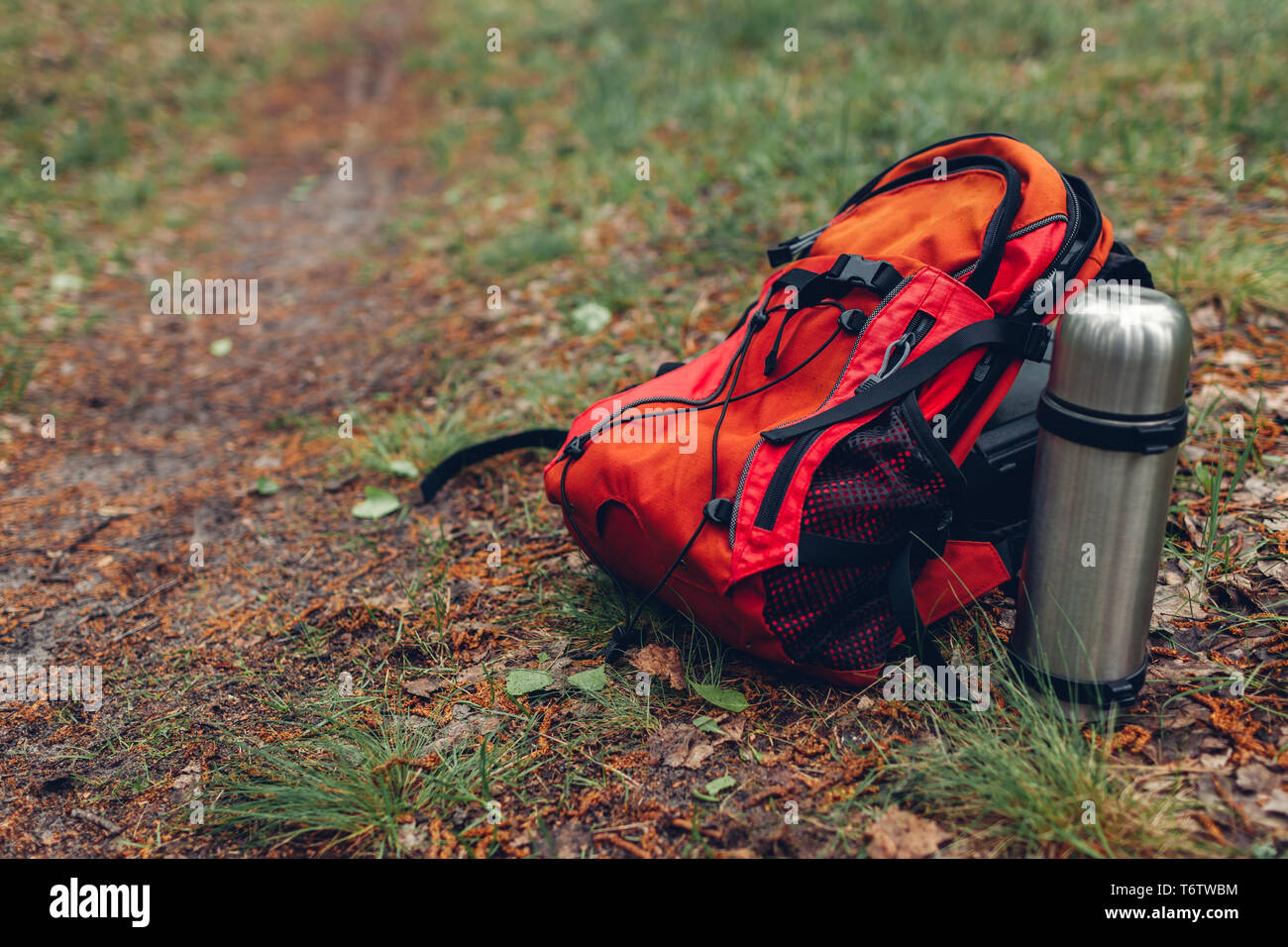 Tourist's backpack, thermos with tea in spring forest. Traveling and ...