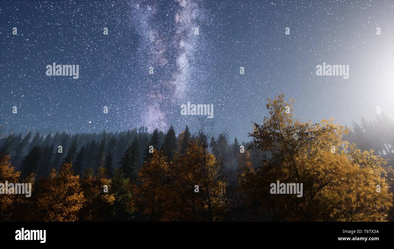 Milky Way stars with moonlight above pine trees forest Stock Photo - Alamy