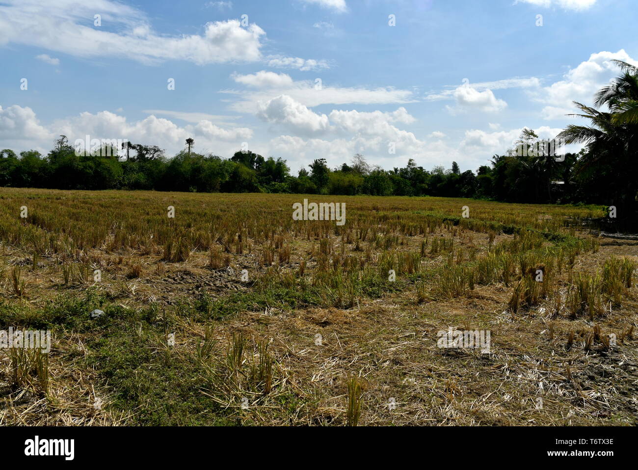 Around the Santiago City, Isabela, Philippines, Santiago City ...