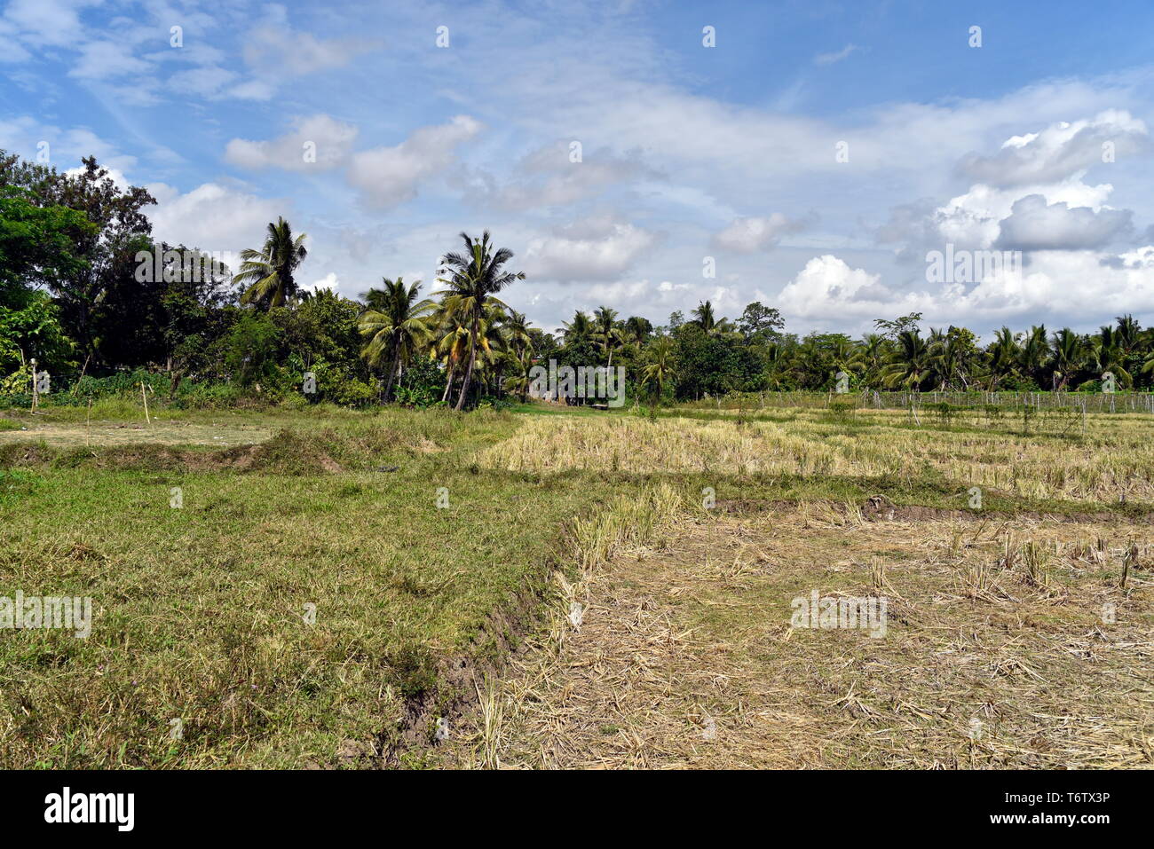 Around the Santiago City, Isabela, Philippines, Santiago City ...