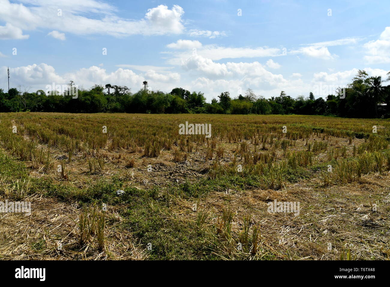 Around the Santiago City, Isabela, Philippines, Santiago City ...