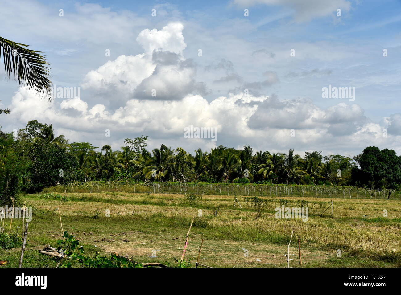 Around the Santiago City, Isabela, Philippines, Santiago City ...