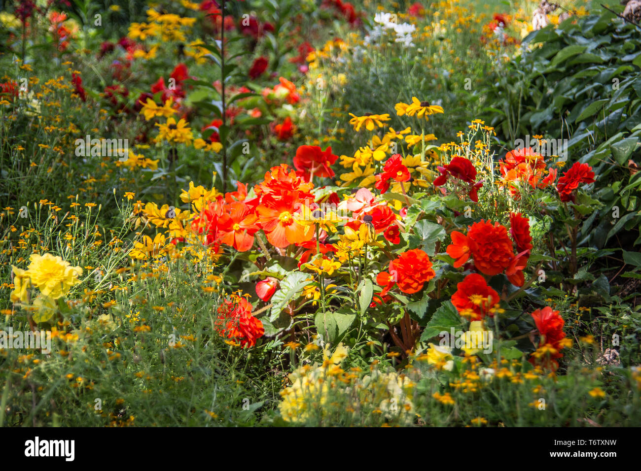 Colourful sea hi-res stock photography and images - Alamy