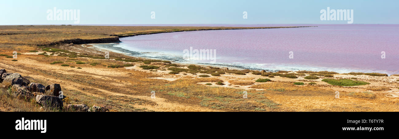 Pink salty Syvash Lake, Ukraine Stock Photo - Alamy