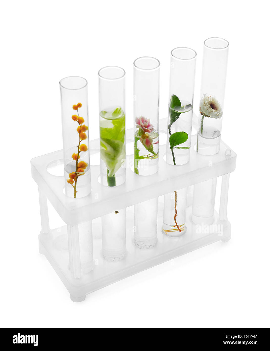 Sample holder in laboratory Cut Out Stock Images & Pictures - Alamy