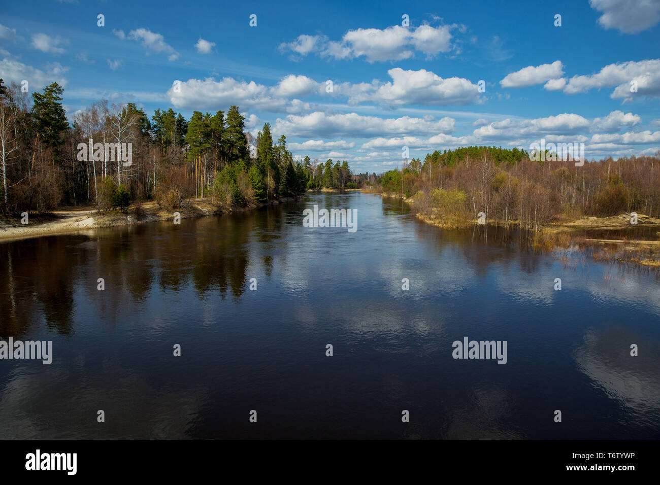 spring landscape with river and forest Stock Photo - Alamy