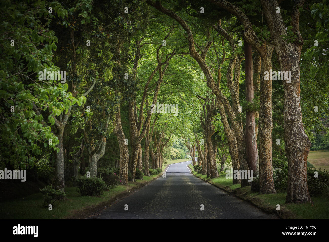 Country road running hi-res stock photography and images - Alamy