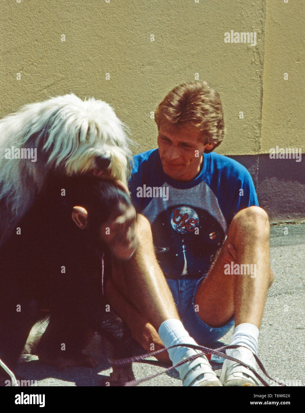 Benny Schnier, deutscher Moderator, mit seinem Bobtail Wuschel ...