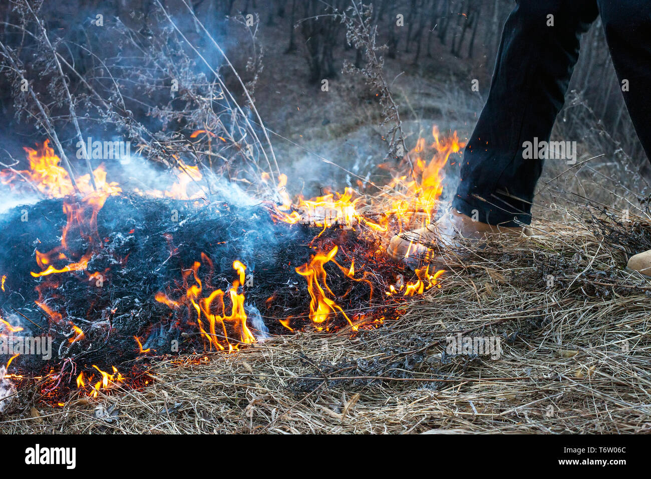Mans foot puts out fire. Grassfire extinguishing concept. Boot trample ...