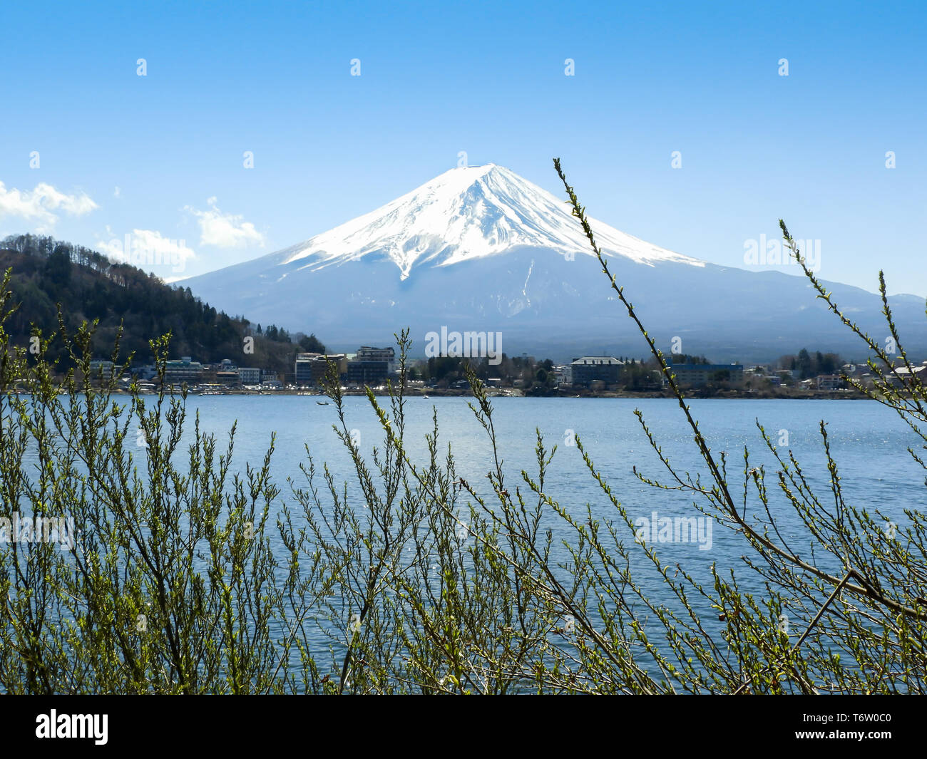 View to Mount Fuji across Lake Kawaguchiko in spring, Snow capped ...