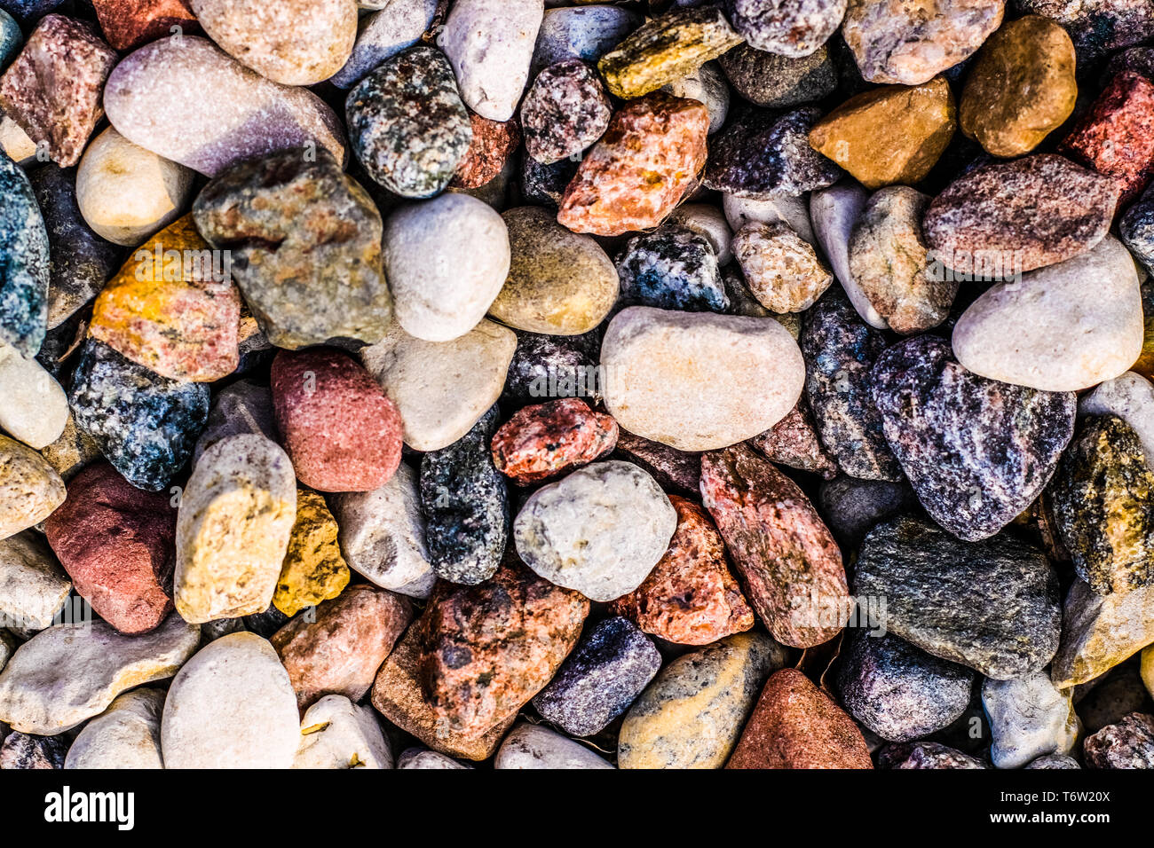 Landscape architecture, interior design and nature elements concept ...