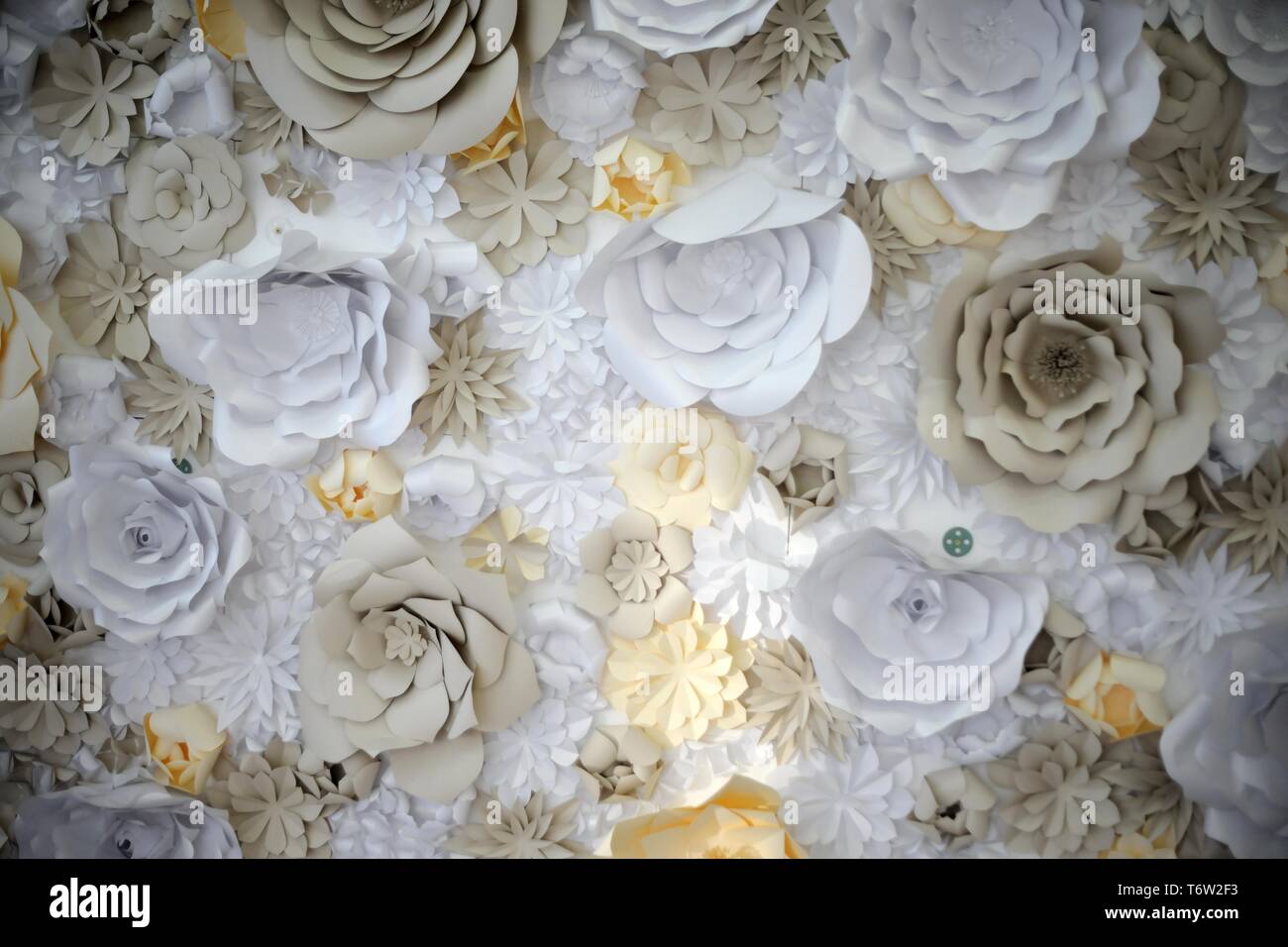 Wall with different flowers from paper. Colorful blooming ecological ...