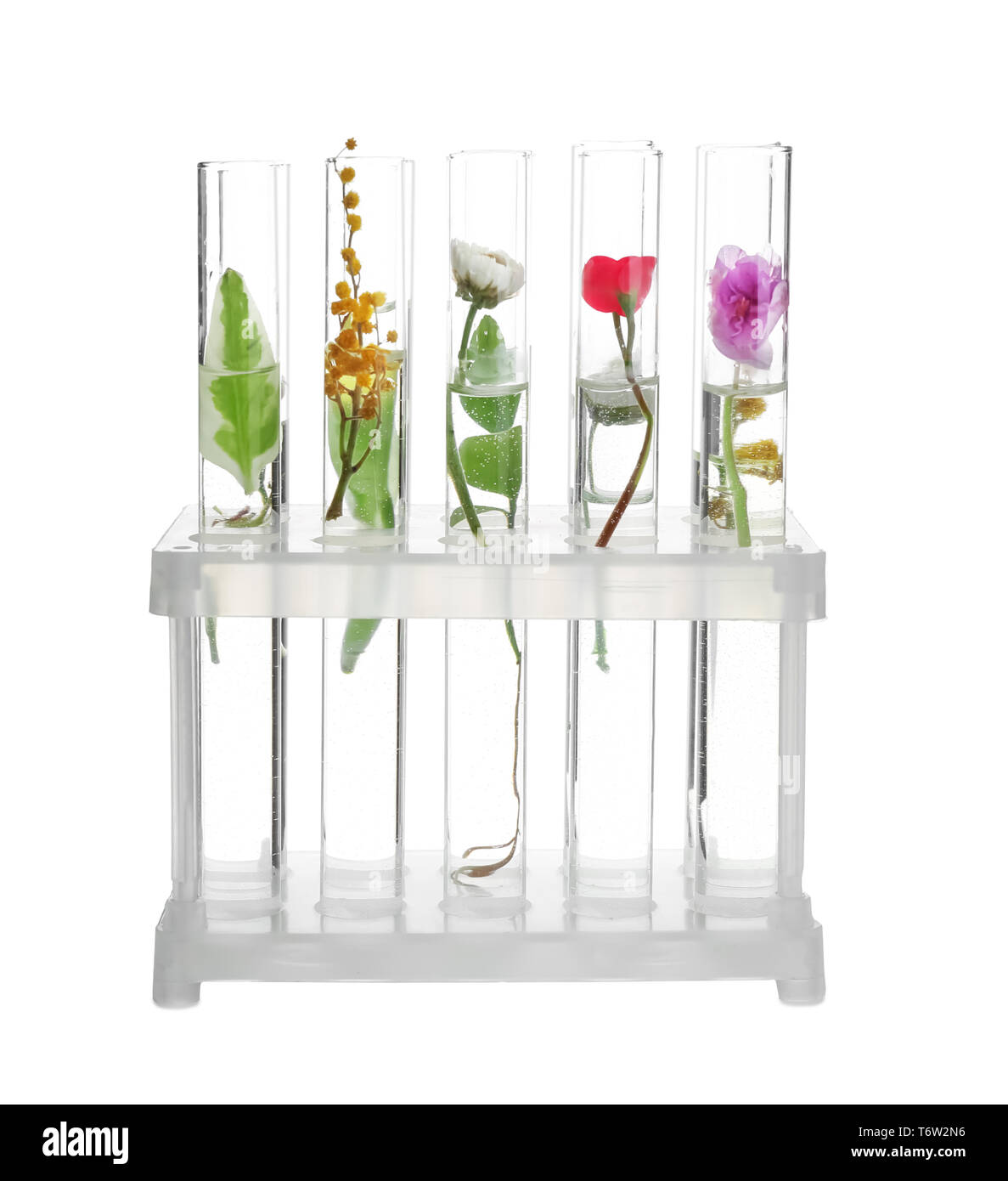 Extraction tube holder hi-res stock photography and images - Alamy