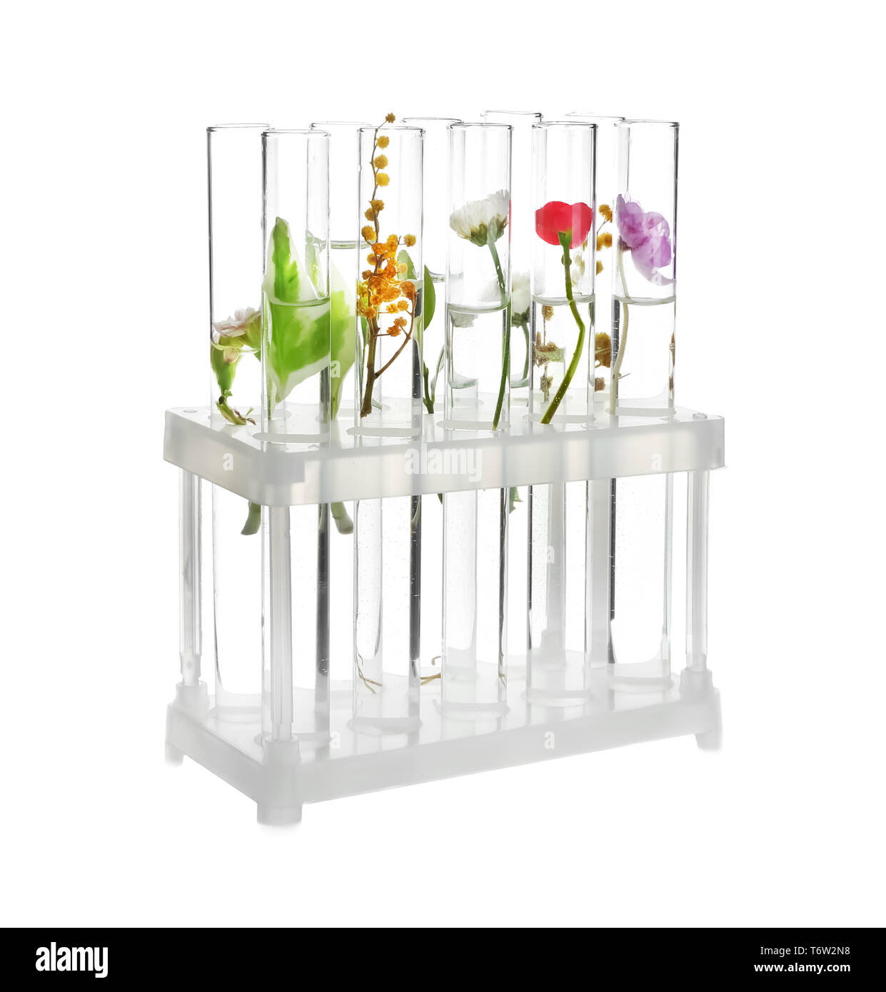 Extraction tube holder hi-res stock photography and images - Alamy