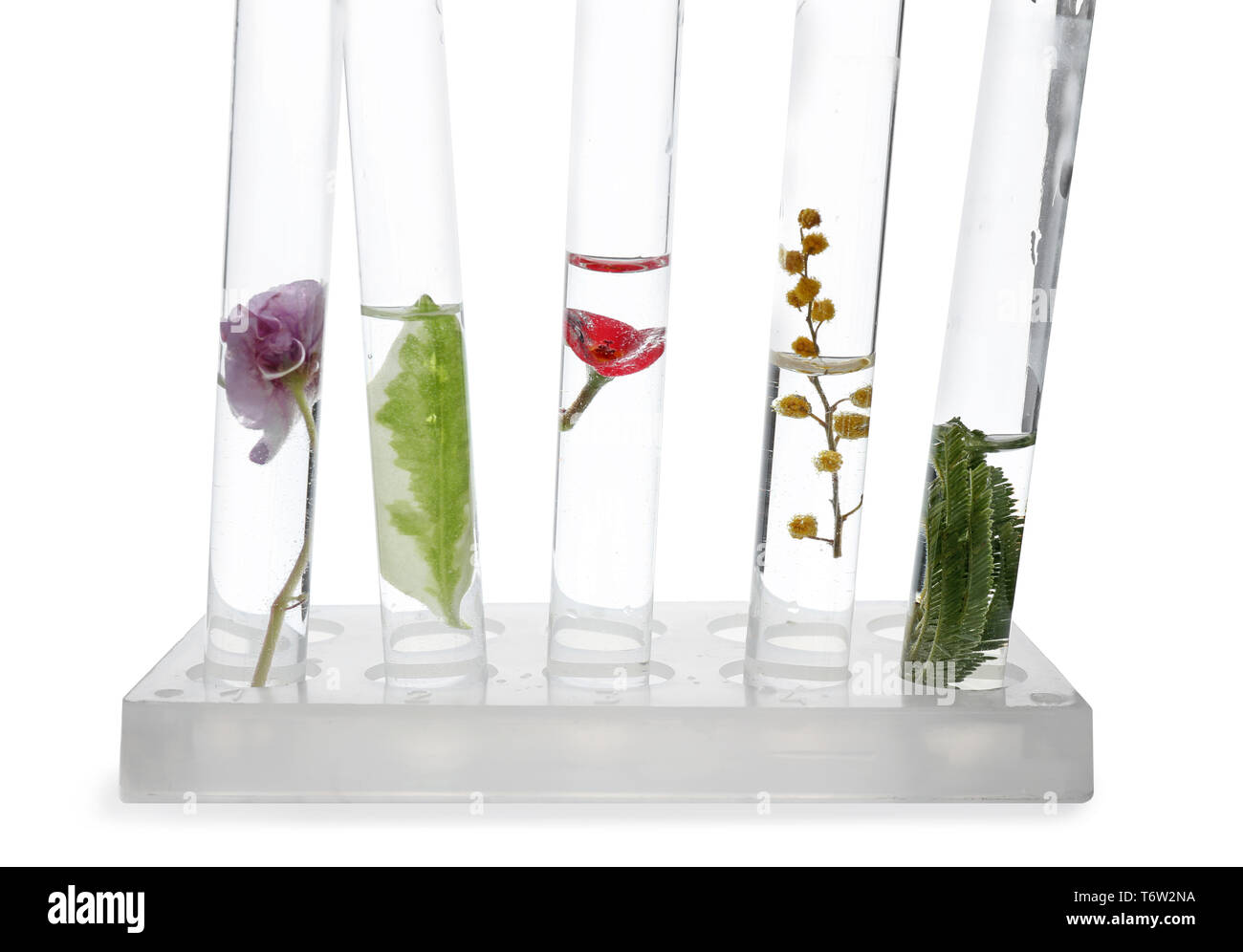 Extraction tube holder hi-res stock photography and images - Alamy